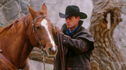 Headstalls – Custom Cowboy Shop