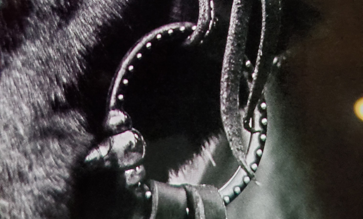 Bits – Custom Cowboy Shop