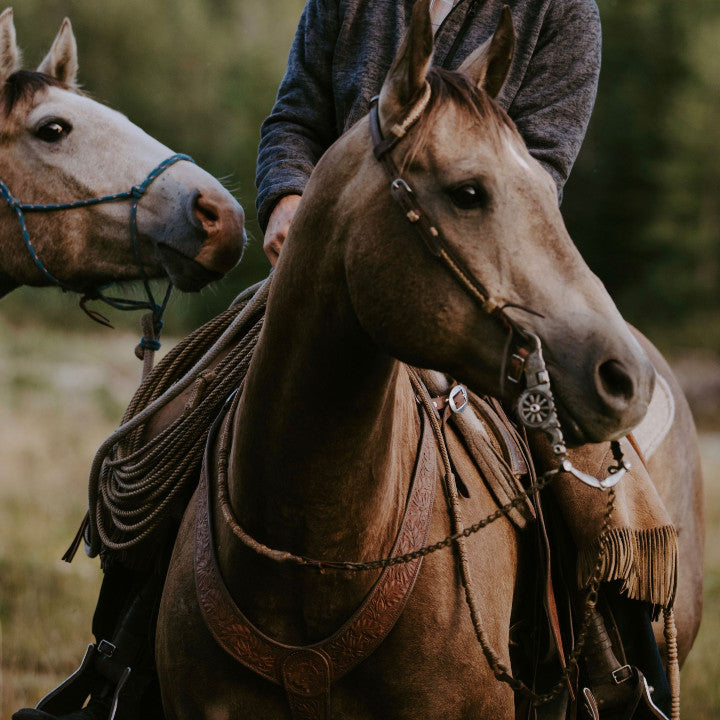 Ranch Ropes – Custom Cowboy Shop